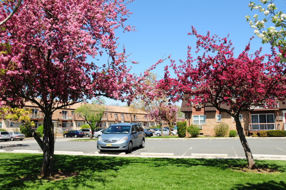 Woodbridge Village | Woodbridge NJ Apartments for Rent